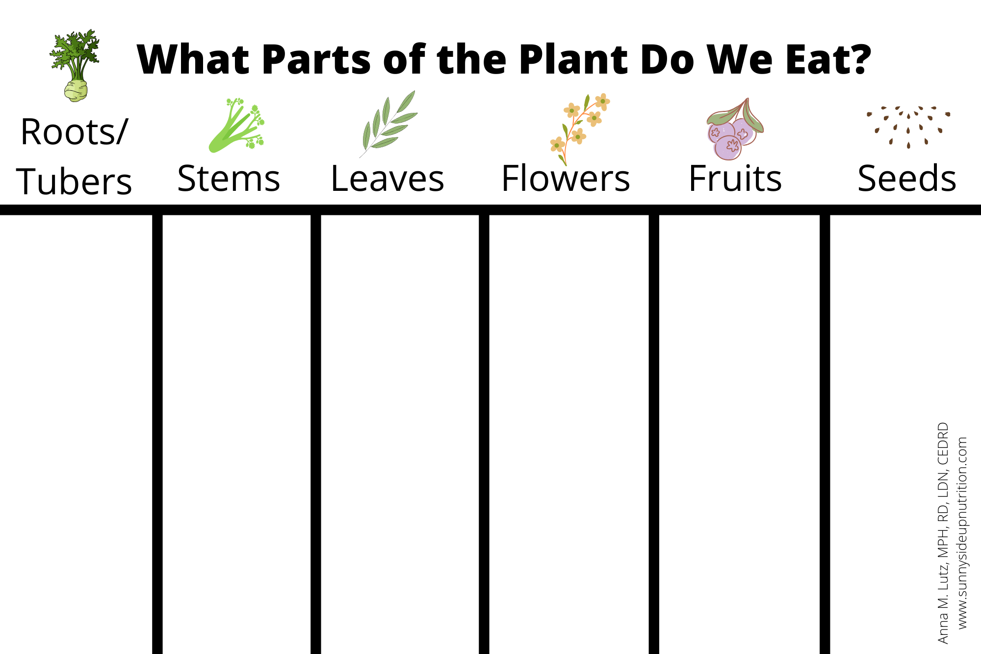 Teaching About Food And Nutrition Northern Health