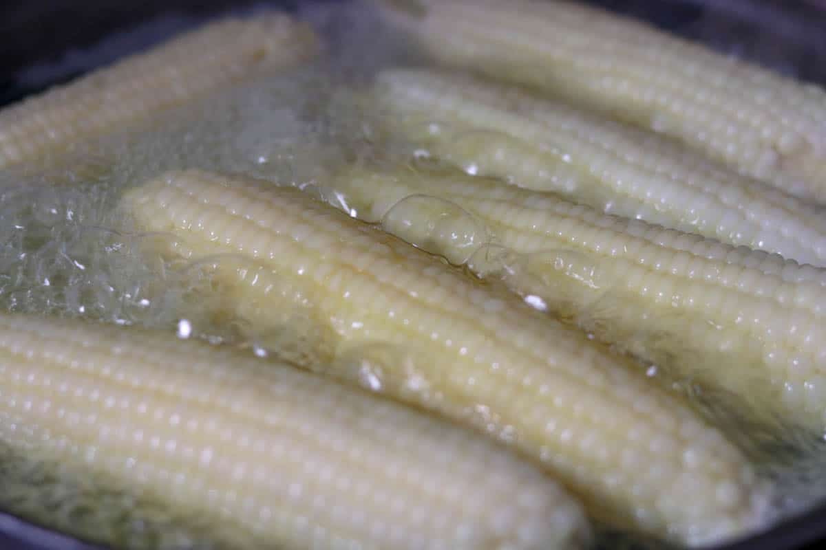 How to Freeze Fresh Corn